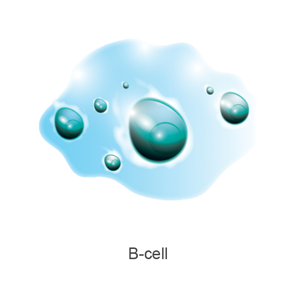 What is RITUXAN® (rituximab) for GPA and MPA?